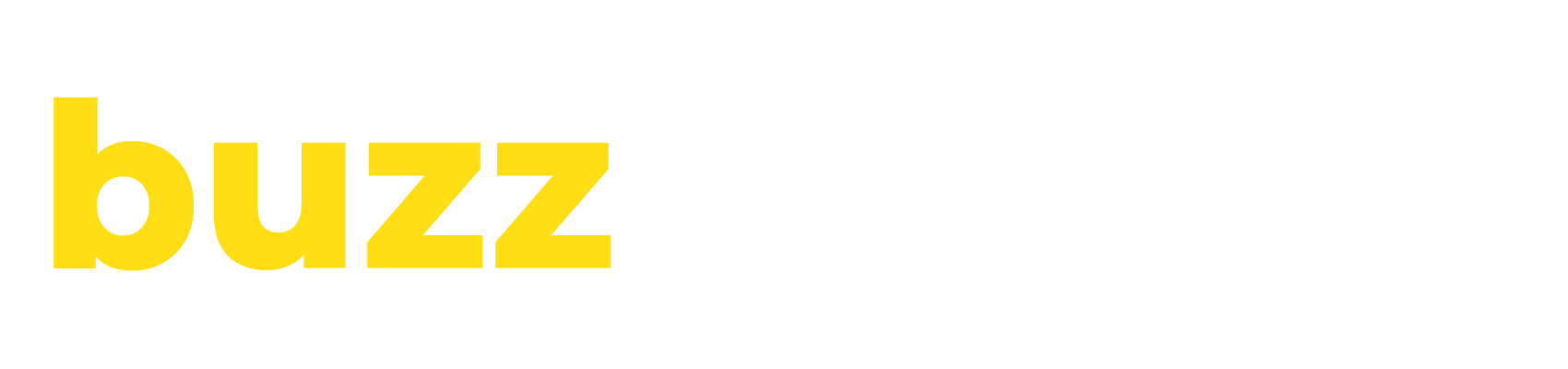 Meet Ashley - Buzz Media